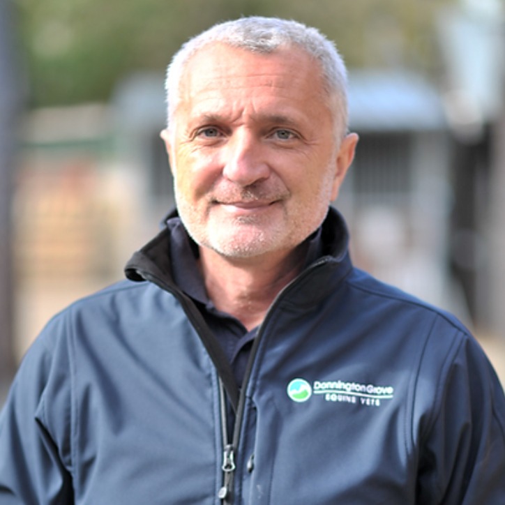 Region Specific-courses - VetPD