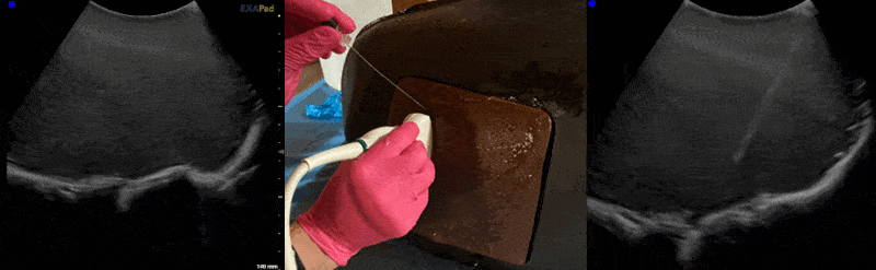 Hip Joint Simulator - VetPD